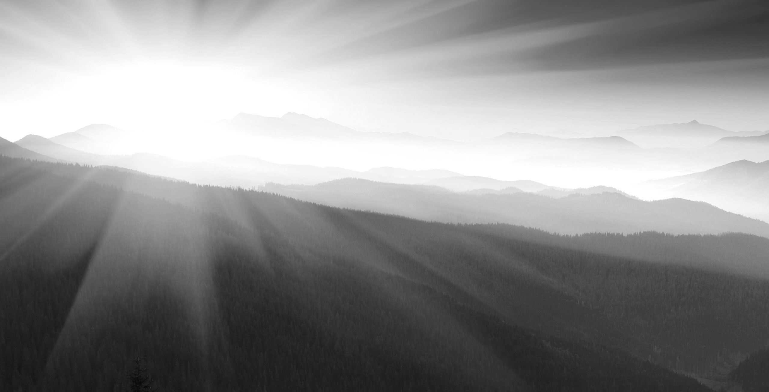 Windolph Media - Windolph Media